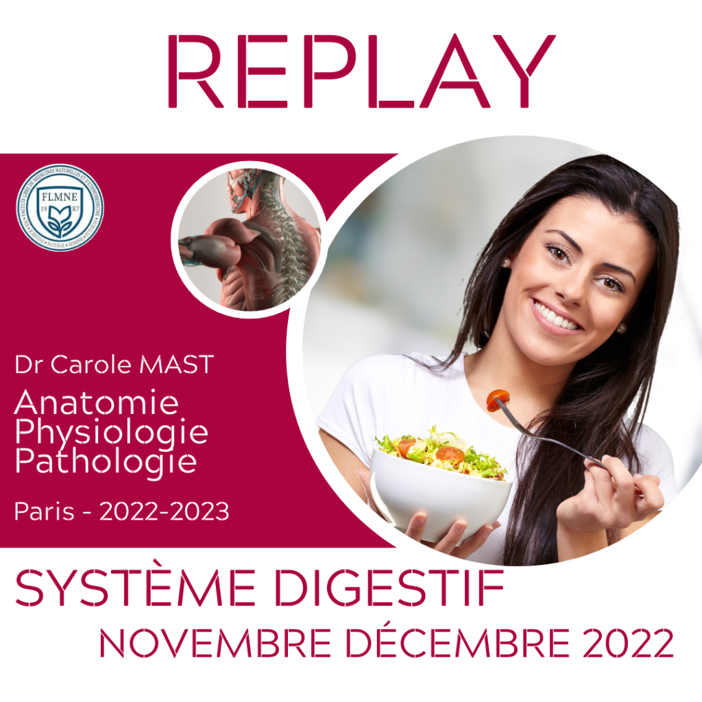 ANATOMIE ET PHYSIOLOGIE DU SYSTÈME DIGESTIF [REPLAY] – FLMNE ...
